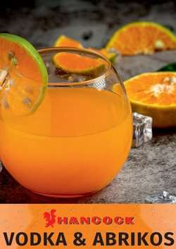 Hancock Cocktails - Hanckock Depot 6940